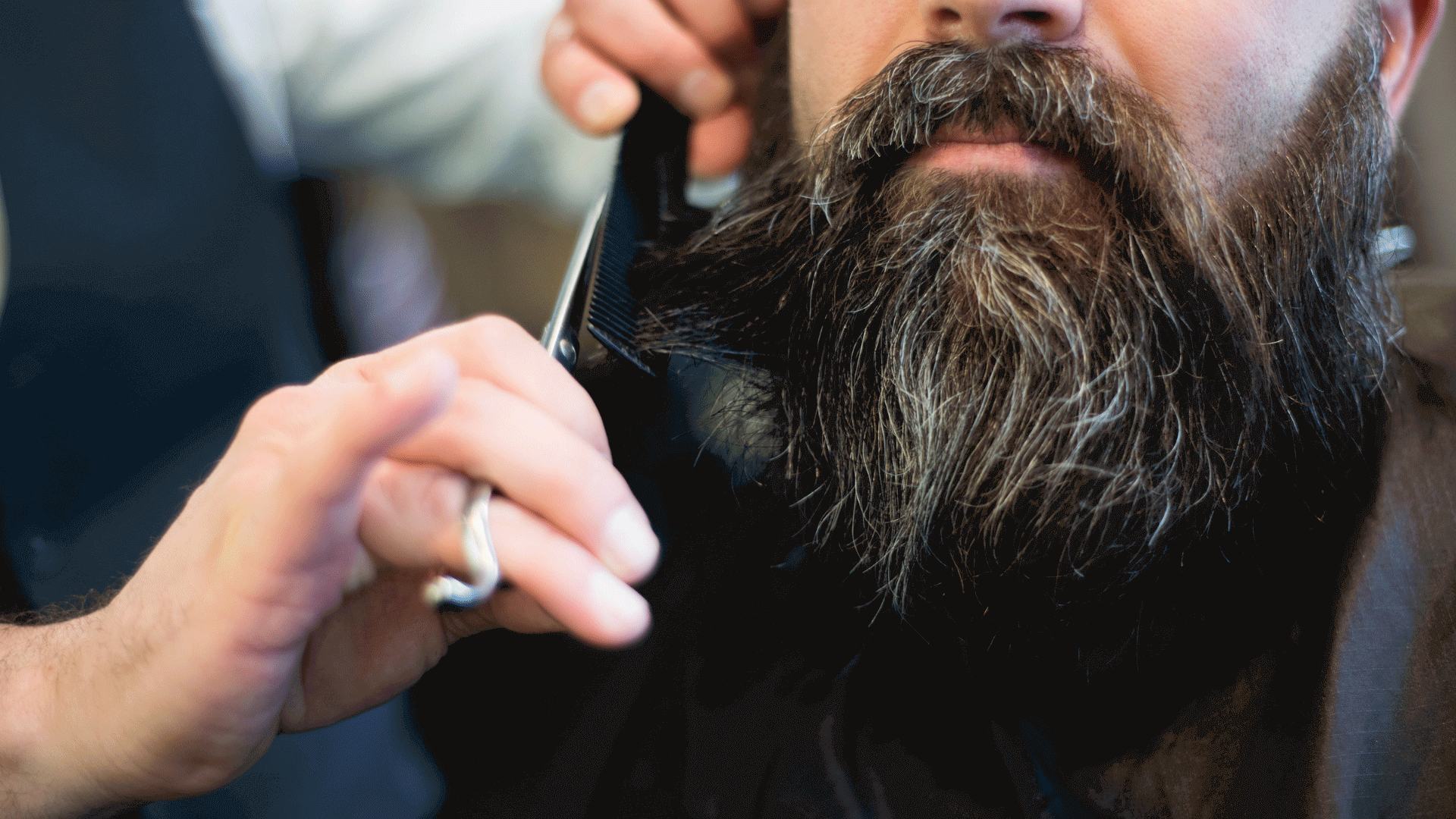 Professional Hair Grooming in Vancouver | Evolve Grooming